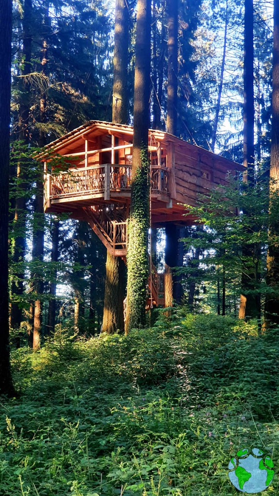 Cabanas En El Arbol
